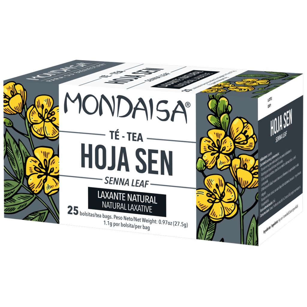 Mondaisa